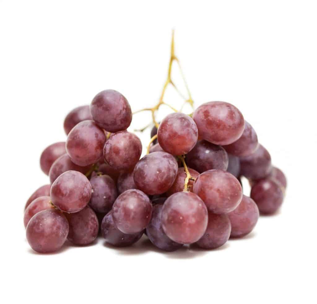 Grapes - Prime Agrocitrus